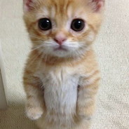 Steam Community :: duno