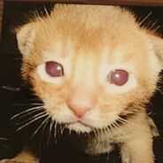 Steam Community :: Bread