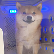 Steam Community :: Gniesbert