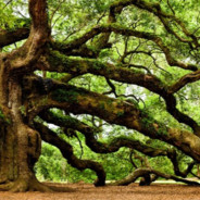 Steam Community :: father_tree