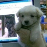 Steam Community :: Ray