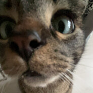 Steam Community :: Cuppy