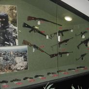 Steam Community :: Group :: L4D 2