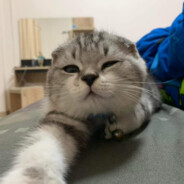 Steam Community :: yyds