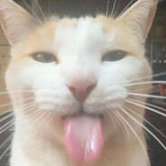 Steam Community :: Thunderous_NaN