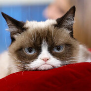 Steam Community :: Grumpy Cat
