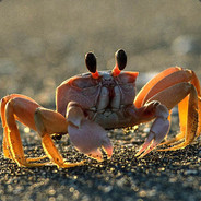 Steam Community :: Shnoke