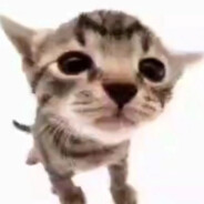 Steam Community :: bwomp