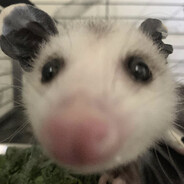 Steam Community :: Group :: GirlBoner