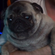 Steam Community :: Musty