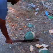 Steam Community :: MIBOMBO