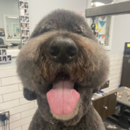 Steam Community :: Maximum