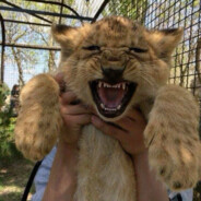 Steam Community :: Dima bigdickov