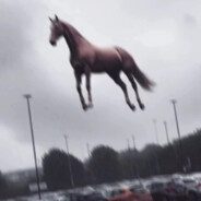 Steam Community :: Fent Addict