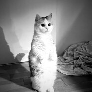 Steam Community :: gergocet