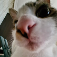 Steam Community :: cloz0