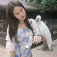 Steam Community :: Chuxcream