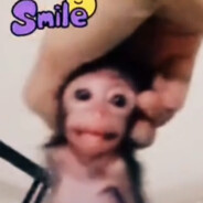 Steam Community :: Monkey discipline