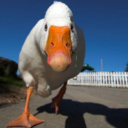 Steam Community :: pyzda