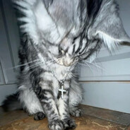 Steam Community :: yuma