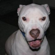 Steam Community :: spoobs