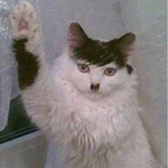 Steam Community :: Lord Sqigga