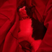 Steam Community :: vortex