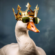 Steam Community :: _Sad_Goose_