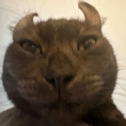 Steam Community :: Appa