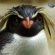 Steam Community :: pingvin