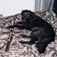 Steam Community :: Okidoki