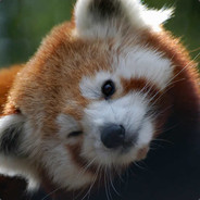 Steam Community :: MoOz