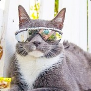 Steam Community :: Group :: LifePunch Kool Cats Klub
