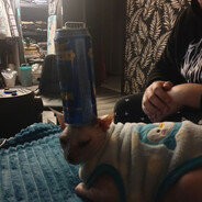 Steam Community :: Group :: PODPIVAS CAT