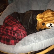 Steam Community :: Mutt