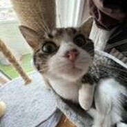 Steam Community :: Group :: ꧁𝓕𝓲𝓯𝓲꧂