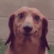 Steam Community :: Senpapi