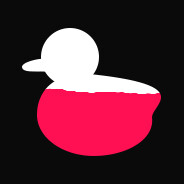 Steam Developer: Duck Half Full