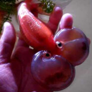 Steam Community :: Blithwin