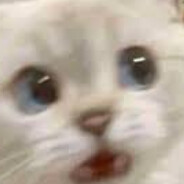 Steam Community :: Shubbie