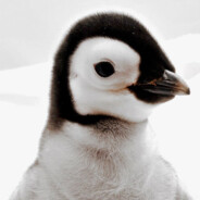 Steam Community :: Penguin