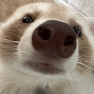 Steam Community :: Isa