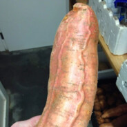 Steam Community :: Tassive Mits