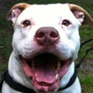 Steam Community :: Bumpy