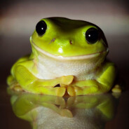 Steam Community :: Bra