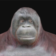 Steam Community :: monke