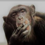 Steam Community :: Bonobo smoking a cigar