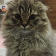 Steam Community :: appalili