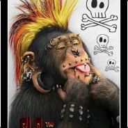 Steam Community :: Group :: CSS MAPAS DOWNLOAD MELHORES NOVOS MAP ...