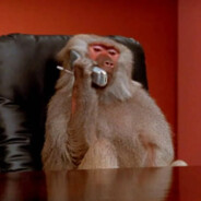 Steam Community :: Monkey🗿